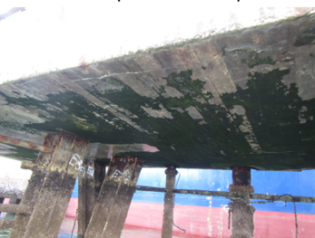 Terminal and Plant jetty structure inspection, maintenance ...